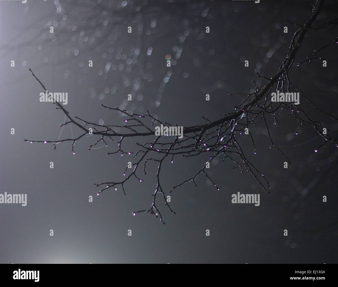 Mist drops hi-res stock photography and images - Alamy