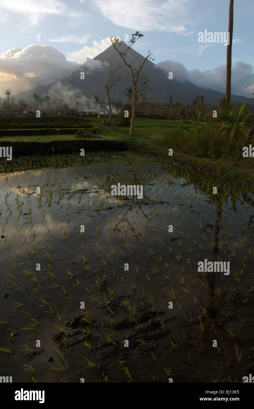 Super Typhoon Durian caused huge volcanic ash mudslides from Mayon ...