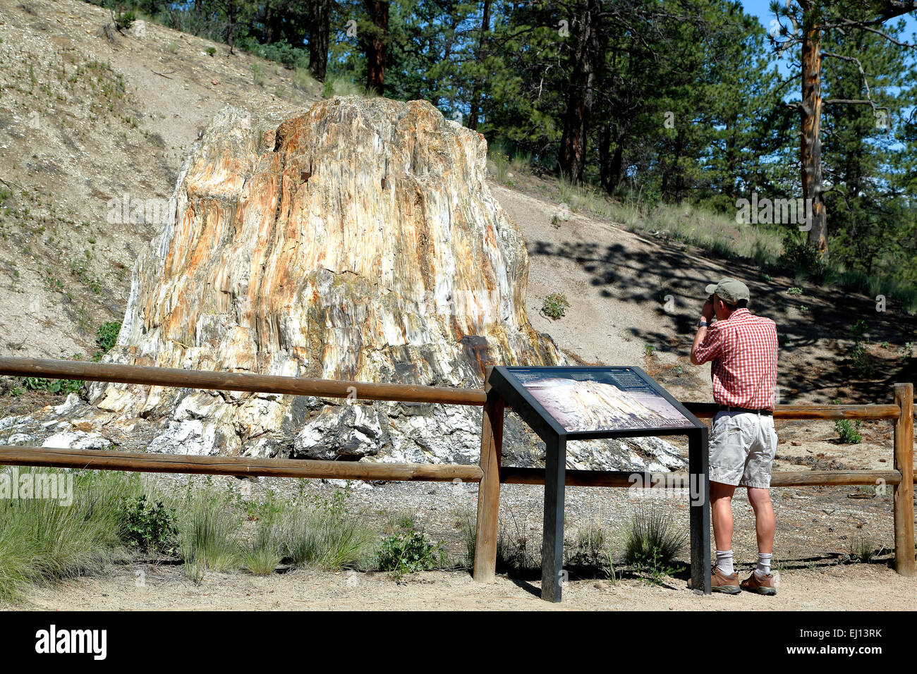 Fossil man hi-res stock photography and images - Alamy