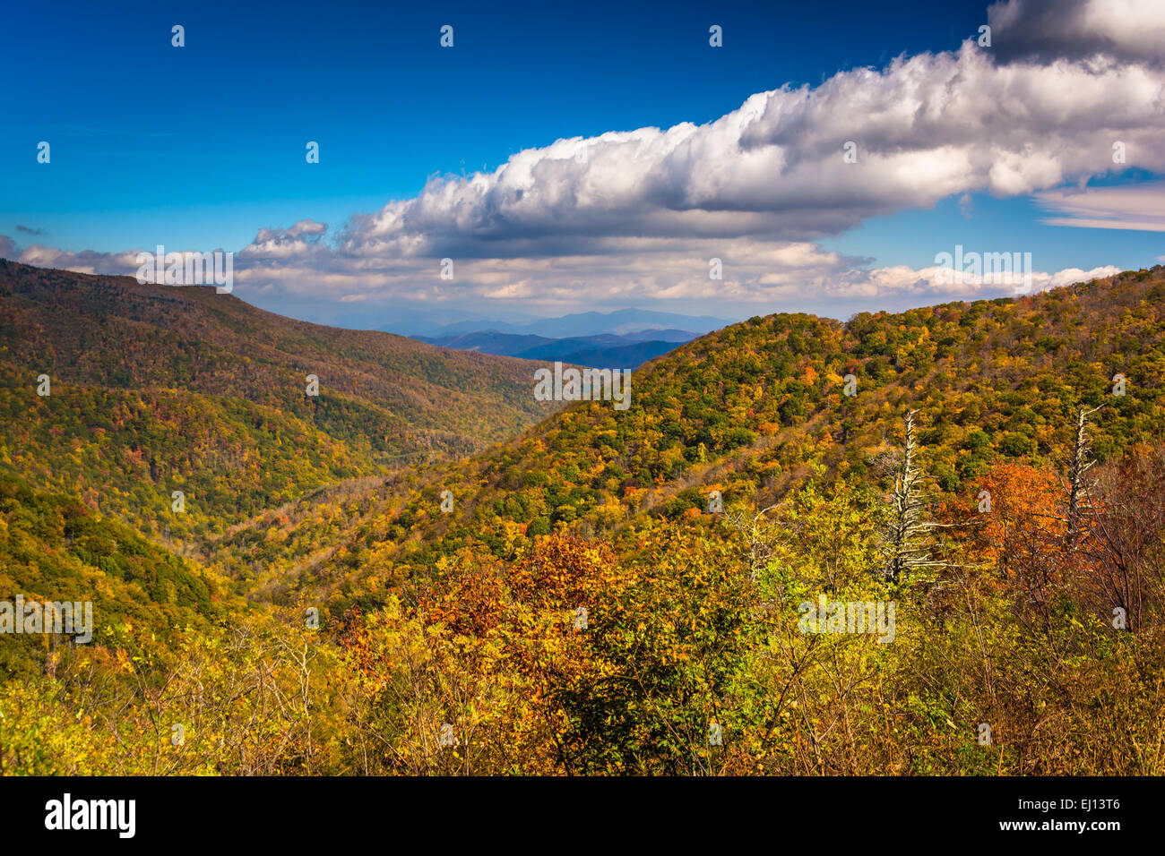 View of autumn color in the Appalachian Mountains from the Blue Ridge ...