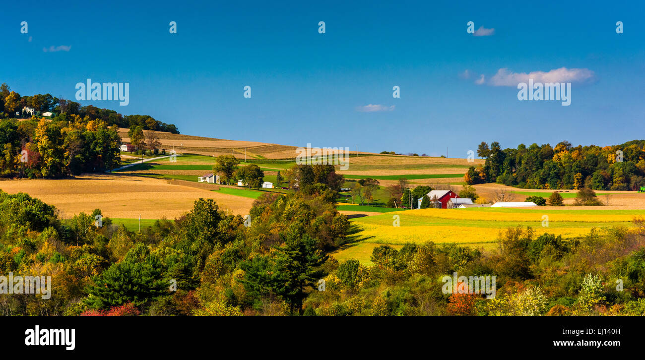 View of rolling hills and farm fields in the rural countryside of York ...