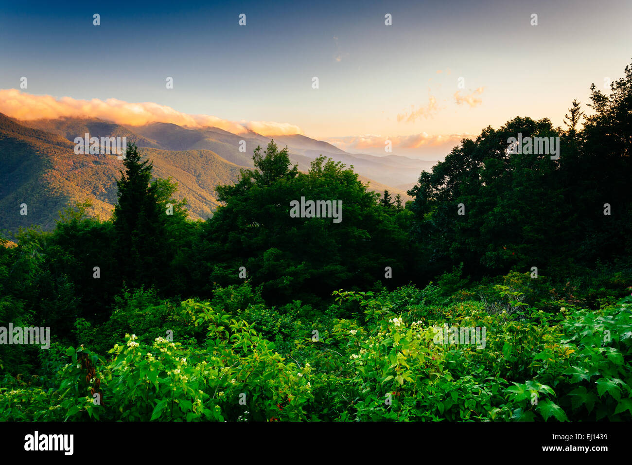 Mt mitchell, north carolina hi-res stock photography and images - Alamy
