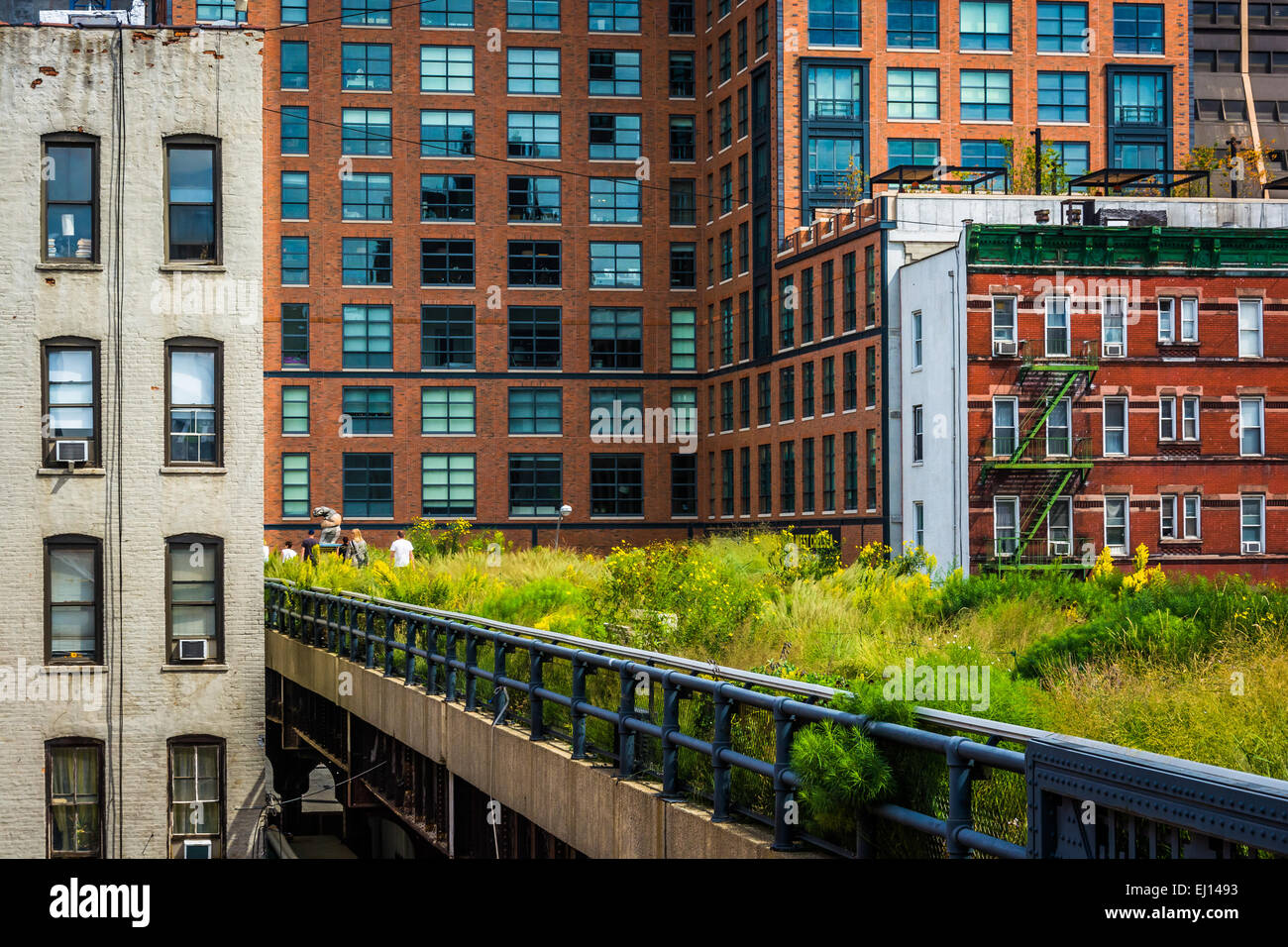 View of the High Line in Manhattan, New York Stock Photo - Alamy
