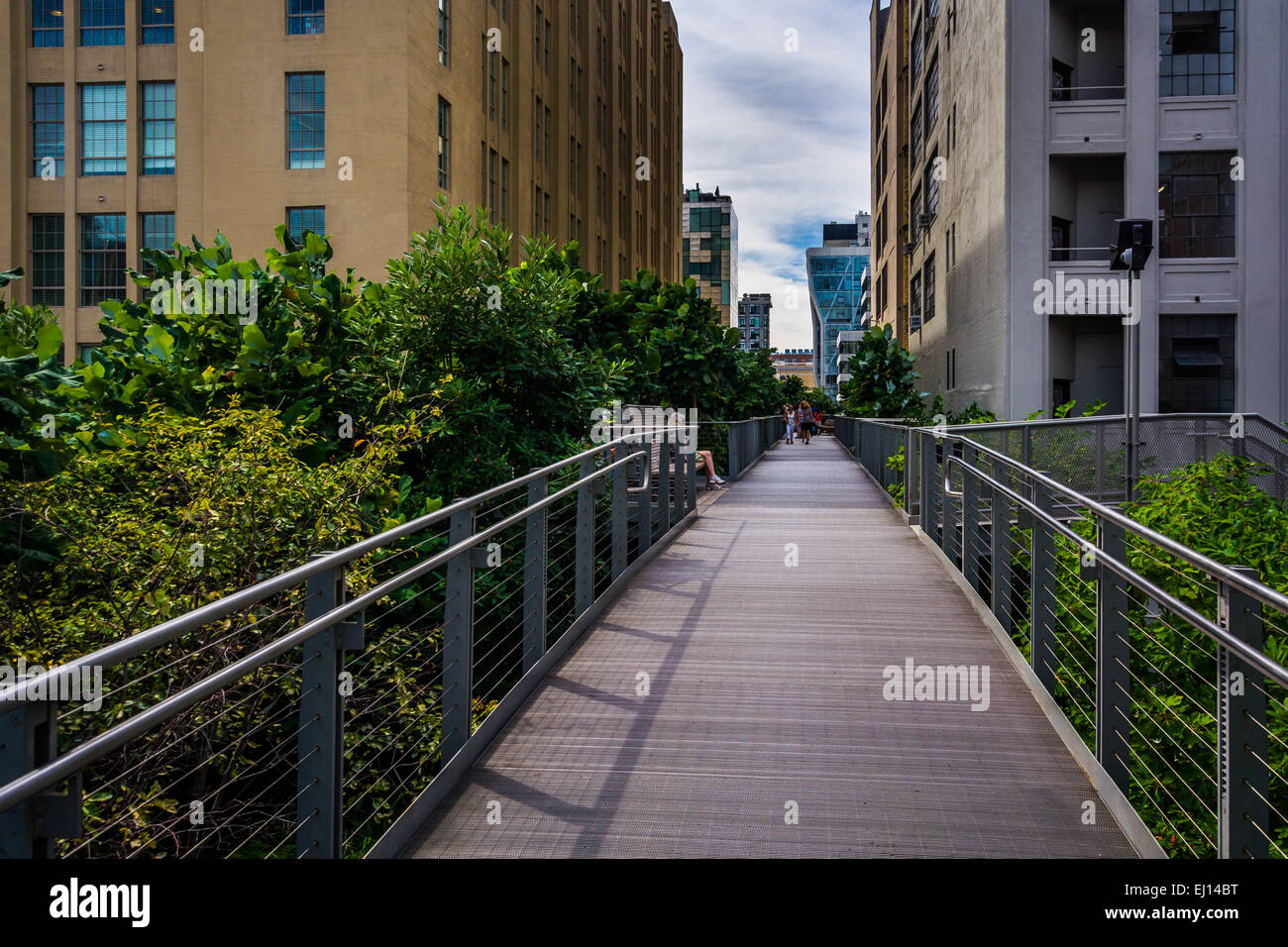 Walkway at The High Line, in Manhattan, New York Stock Photo - Alamy