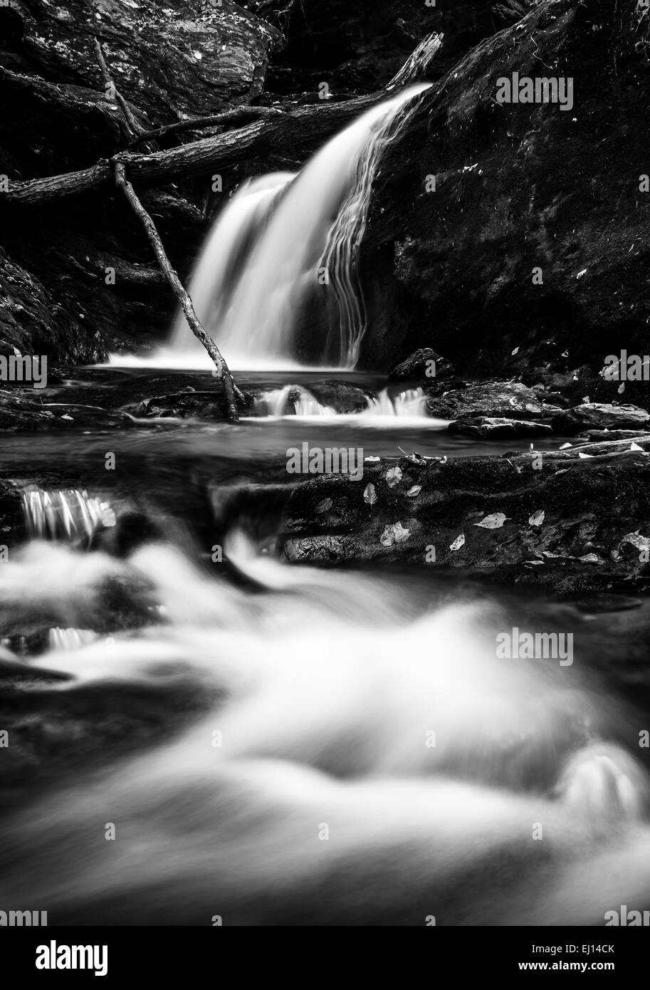 Color run Black and White Stock Photos & Images - Alamy