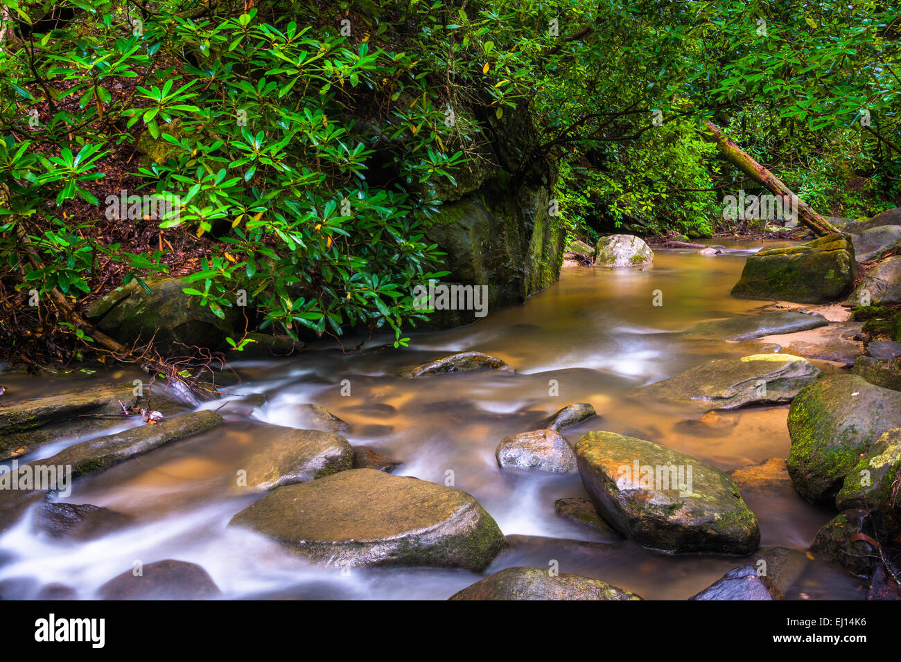 Cascades on Carrick Creek, at Table Rock State Park, South Carolina ...