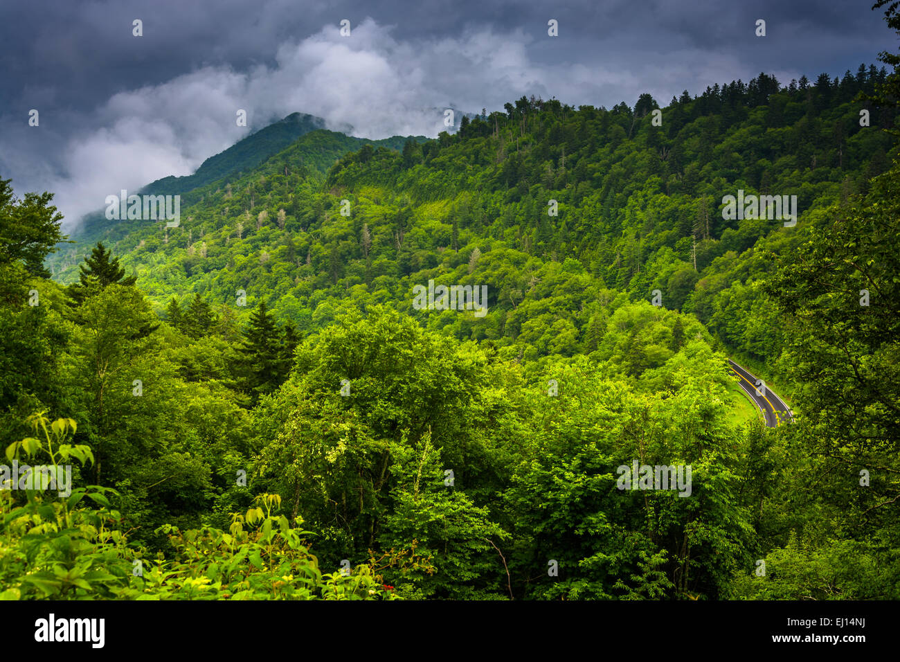 Dramatic view of the Appalachian Mountains from Newfound Gap Road, at ...