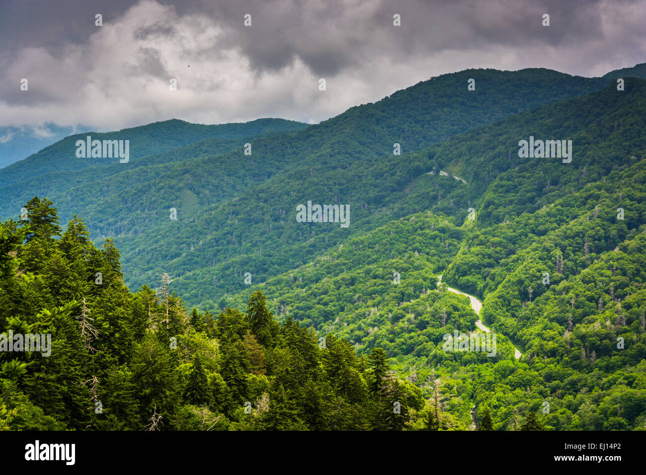 Dramatic view of the Appalachian Mountains from Newfound Gap Road, at ...