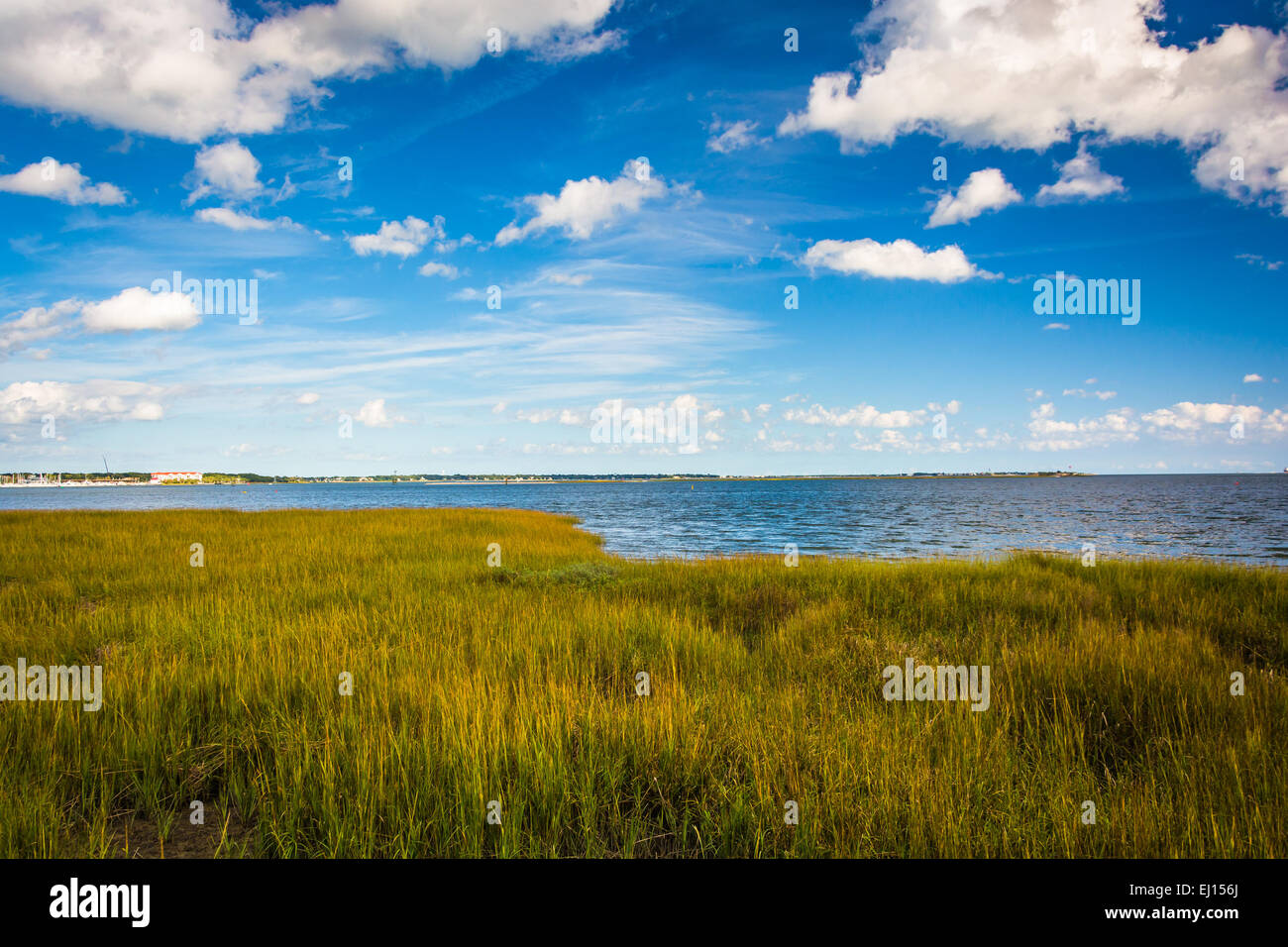 Marsh grasses hi-res stock photography and images - Alamy