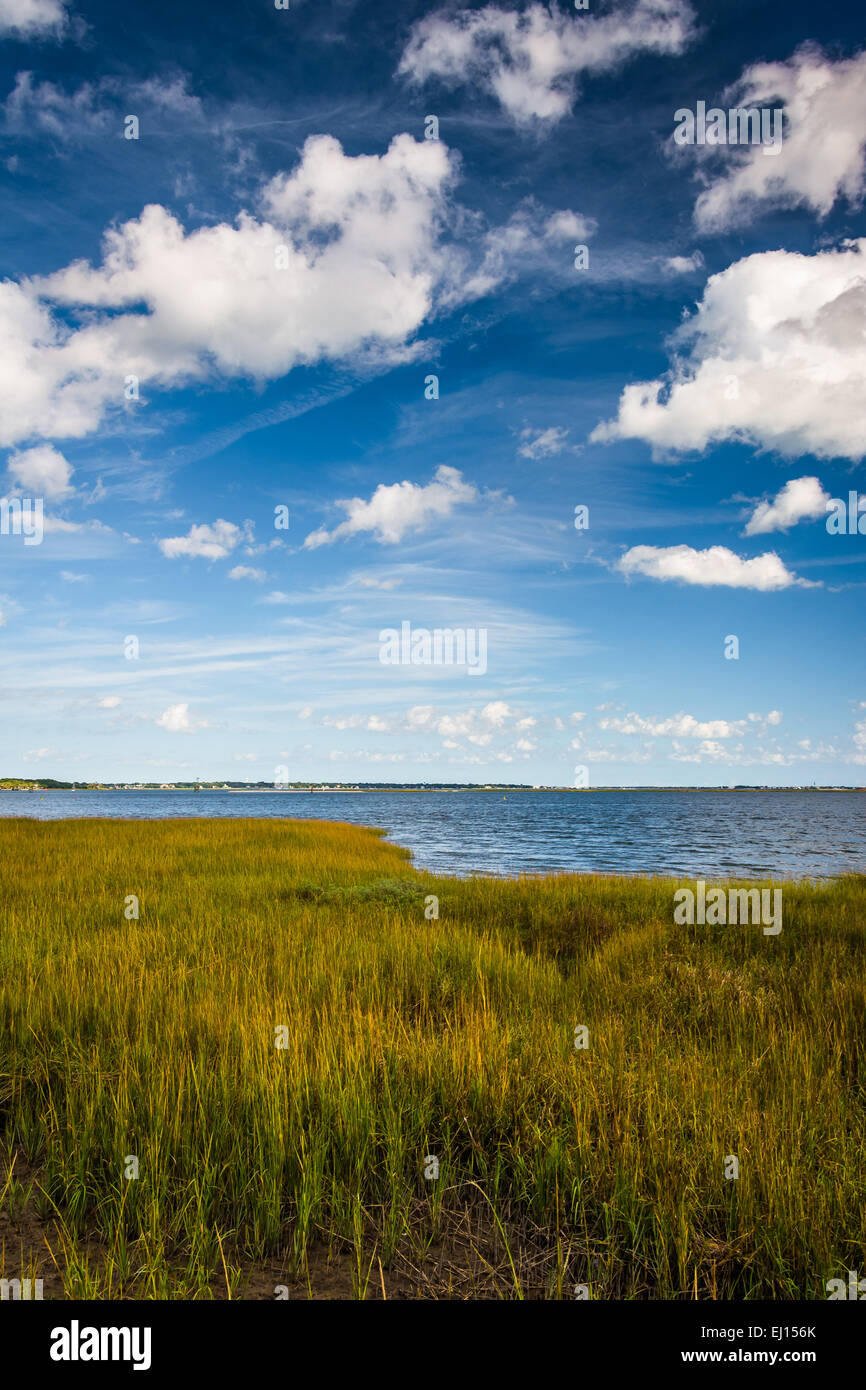 Marsh grasses hi-res stock photography and images - Alamy