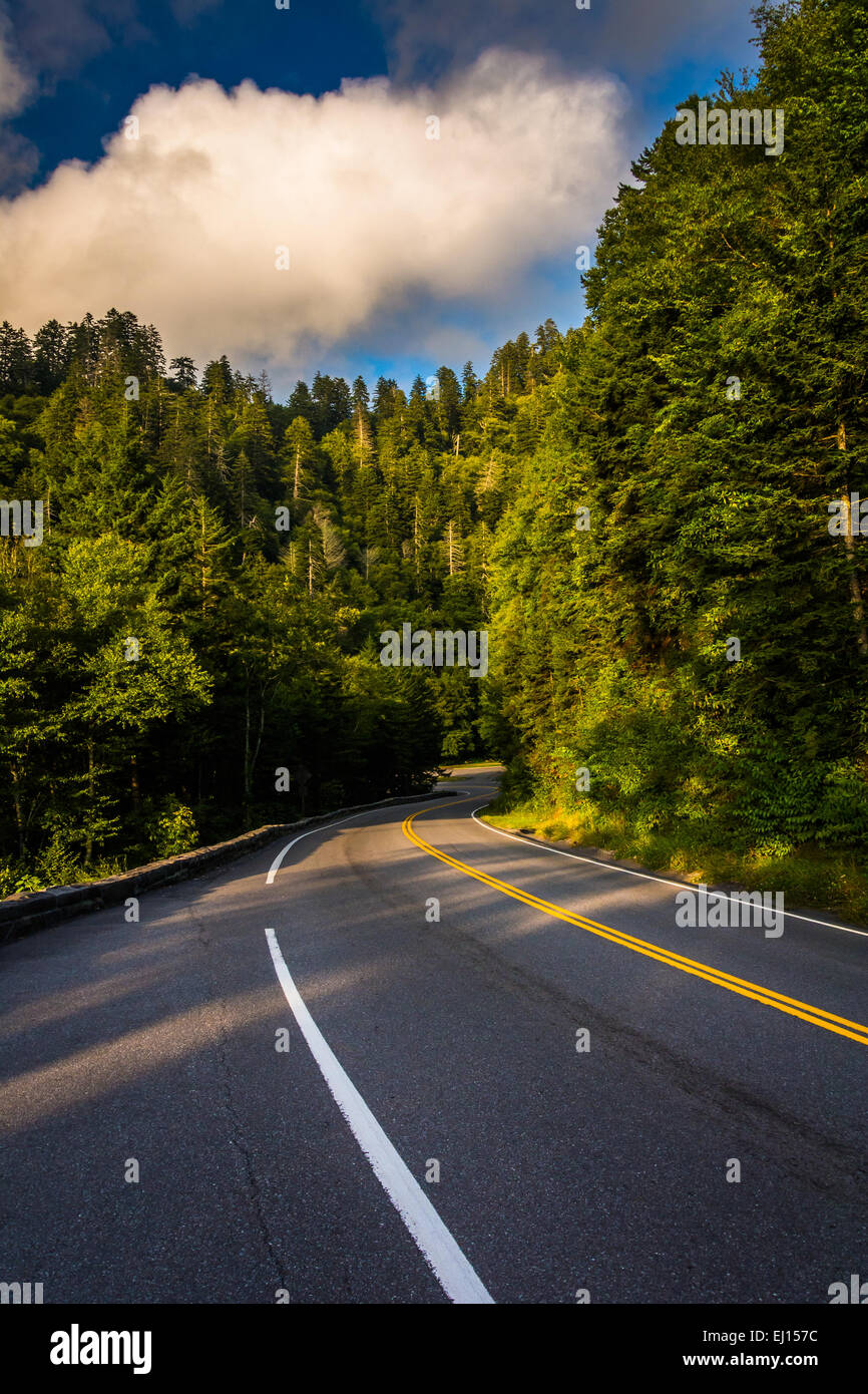 Newfound Gap Road, in Great Smoky Mountains National Park, Tennessee ...