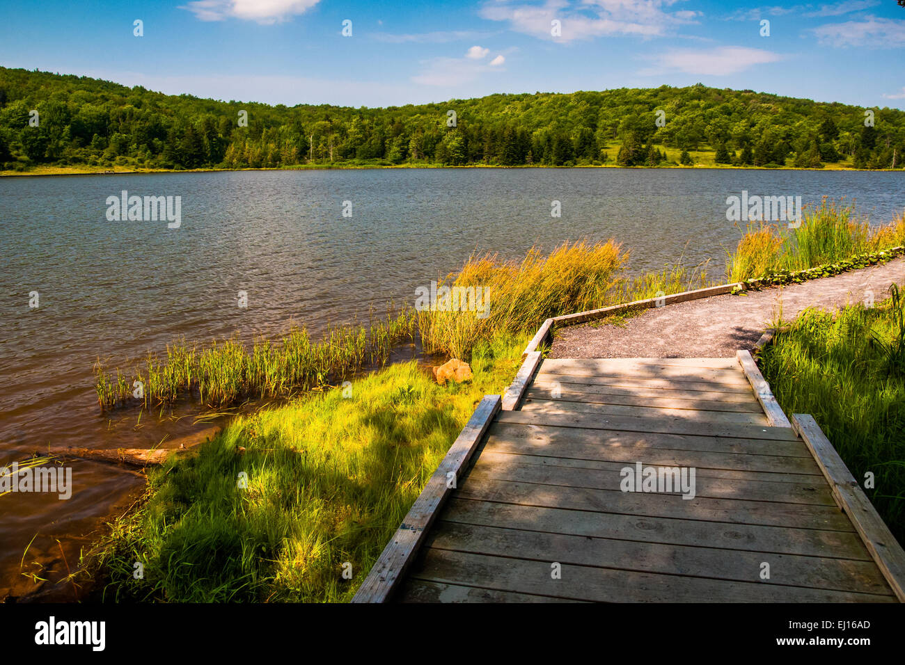 A boardwalk trail encircling Spruce Knob Lake, in Monongahela National ...