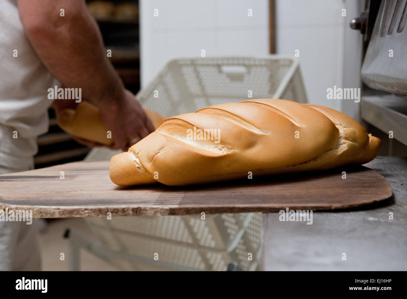 inside; interior; bread; fresh; done; baking peel; oven; door; wooden ...
