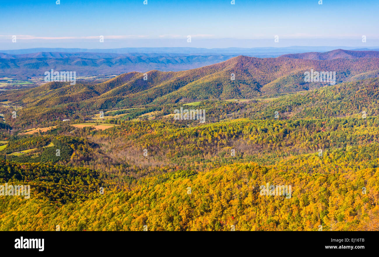Autumn color in the Appalachian Mountains, seen from Skyline Drive in ...