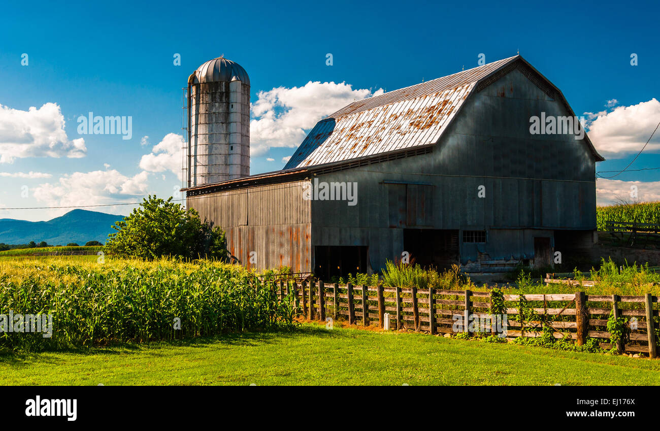 Barn and corn fields on a farm in the Shenandoah Valley, Virginia Stock ...