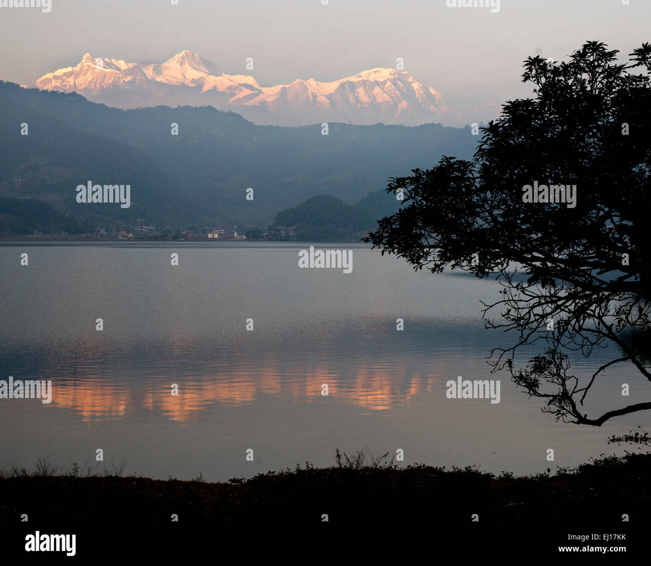 Phewa Lake in Pokhara, Nepal Stock Photo - Alamy