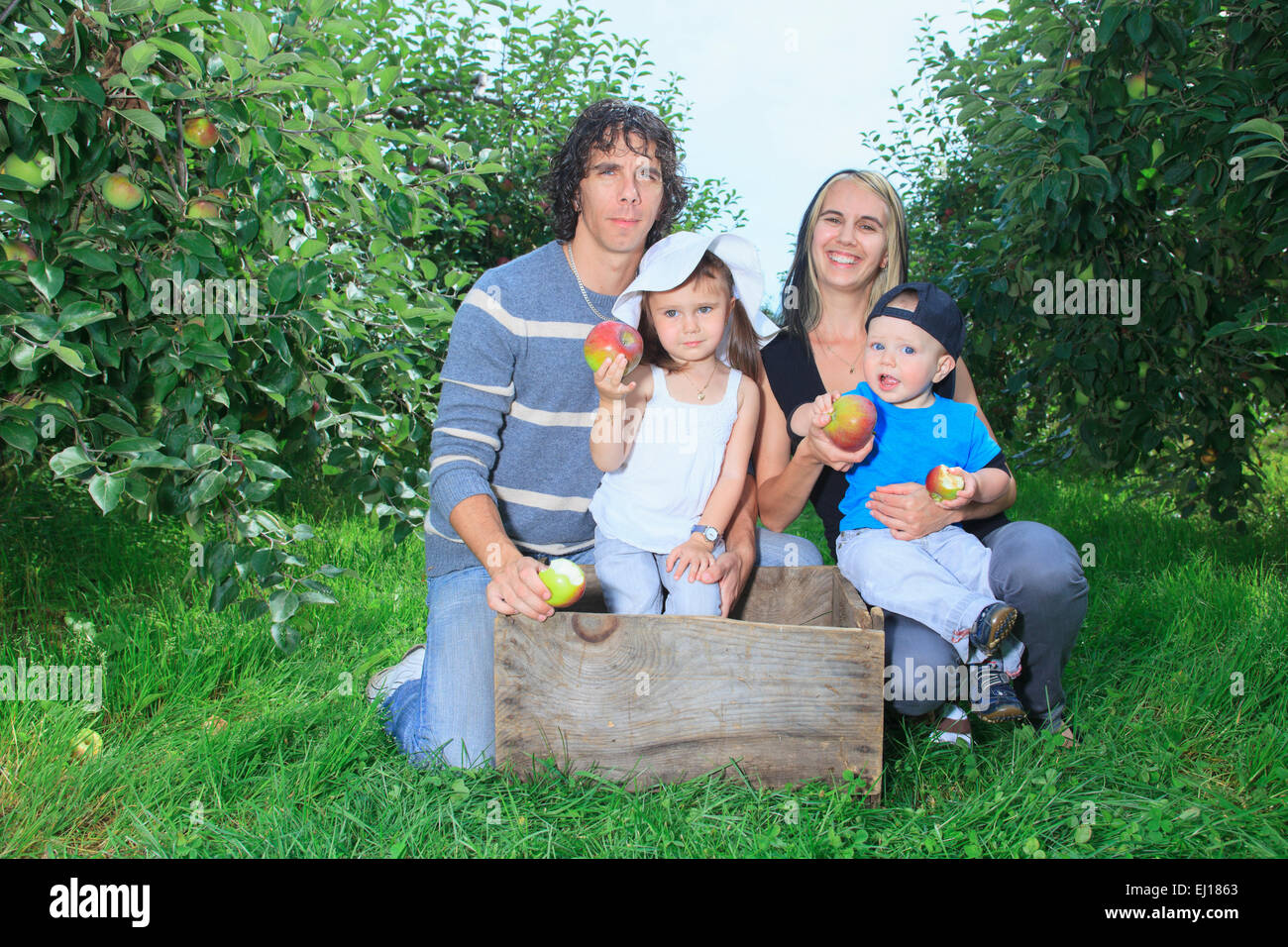 happy family of four attractive caucasian catch apple Stock Photo - Alamy