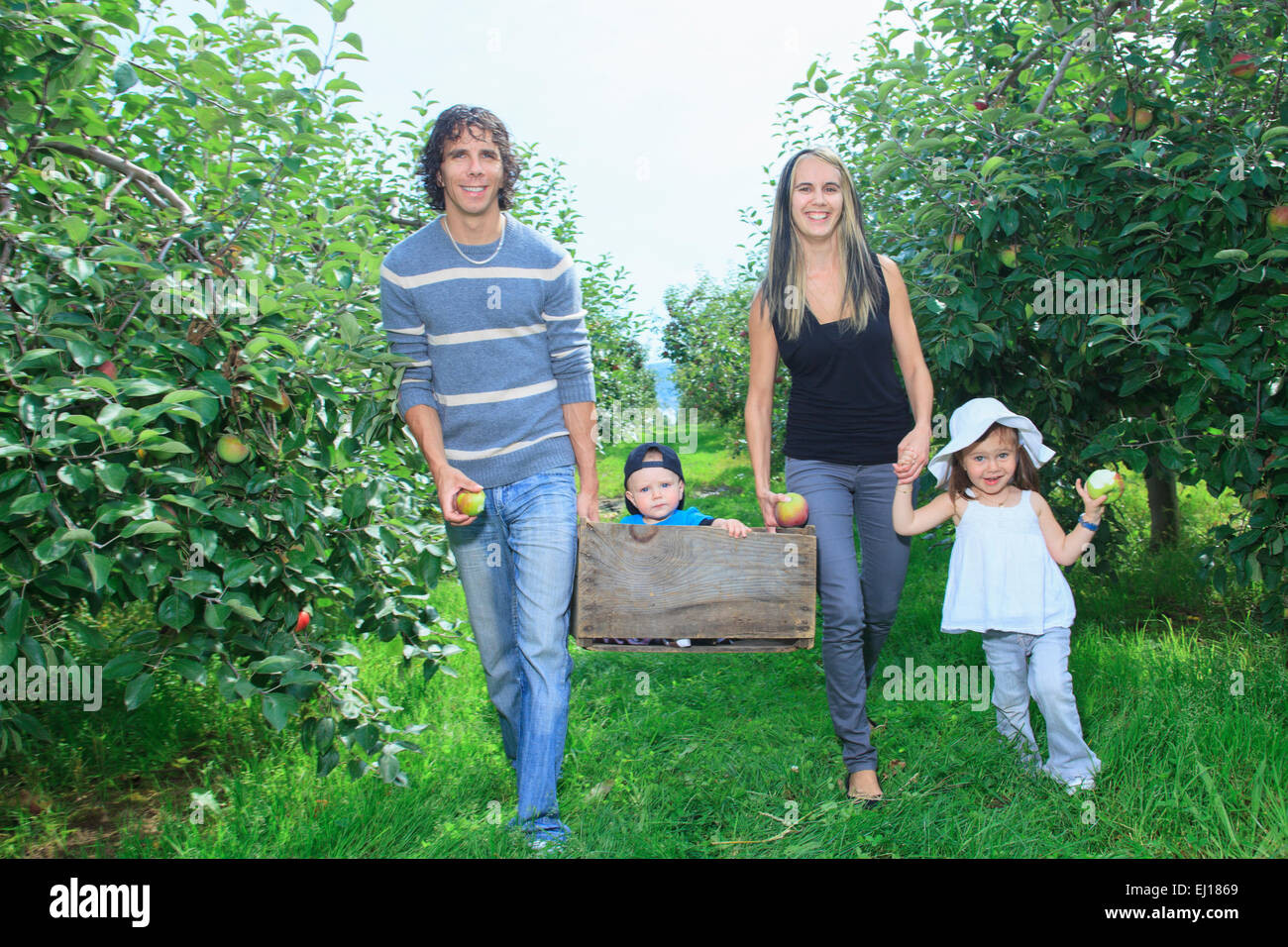 Father son playing catch hi-res stock photography and images - Alamy
