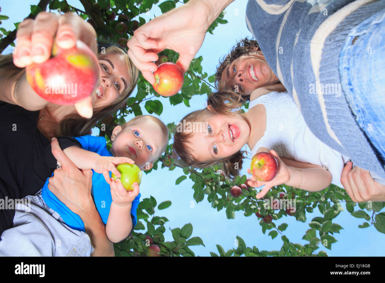 happy family of four attractive caucasian catch apple Stock Photo - Alamy
