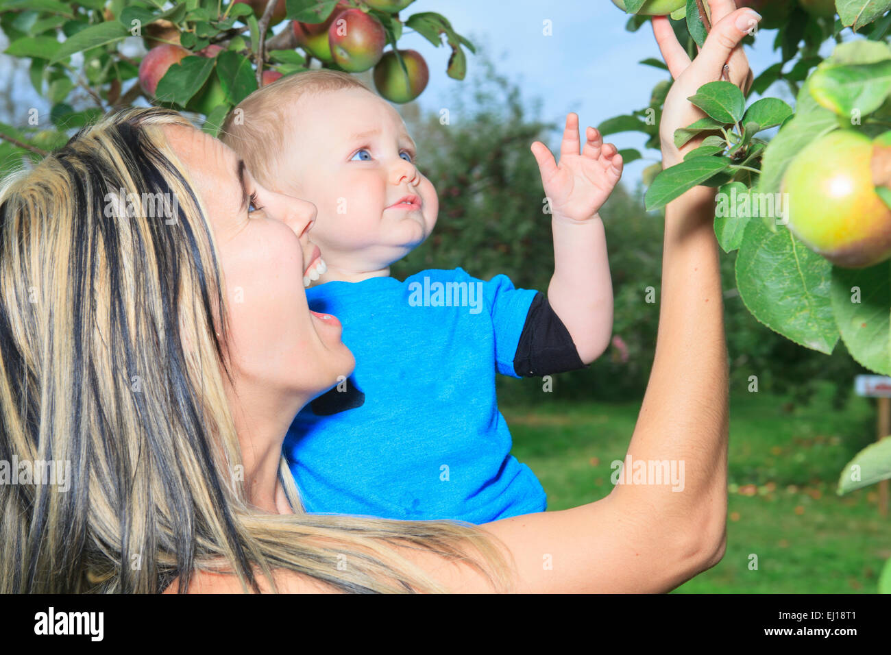mother and her son with apple background Stock Photo - Alamy