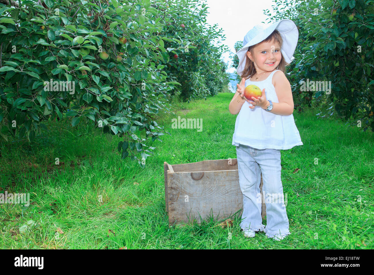 Cute apple girl Stock Photo - Alamy