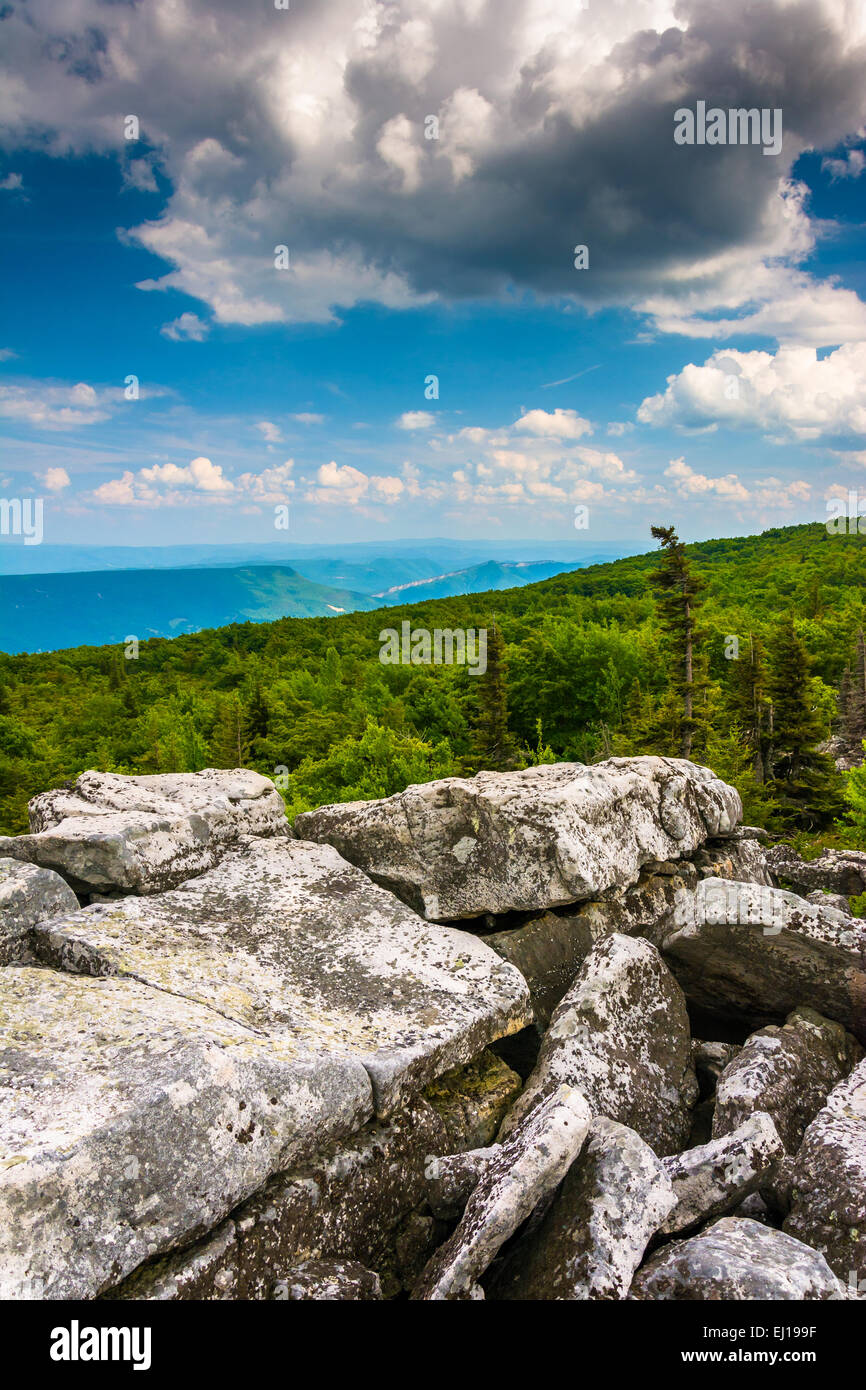 Boulders and eastern view of the Appalachian Mountains from Bear Rocks ...
