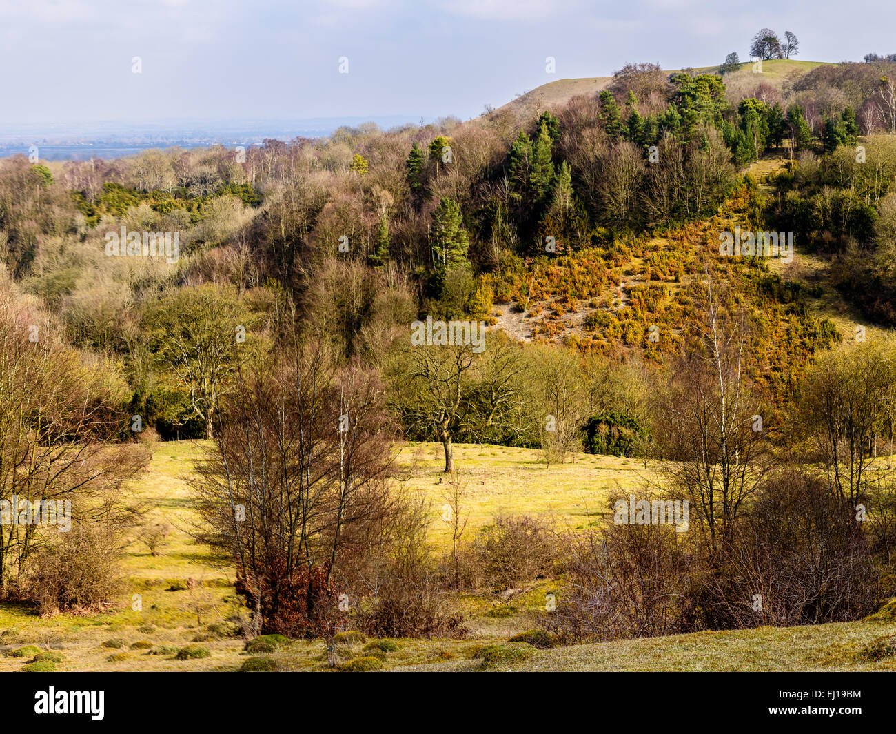 Woodlands of Great Britain Stock Photo - Alamy