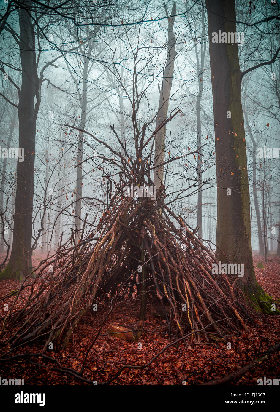 Witch house in the forest with fog Stock Photo - Alamy