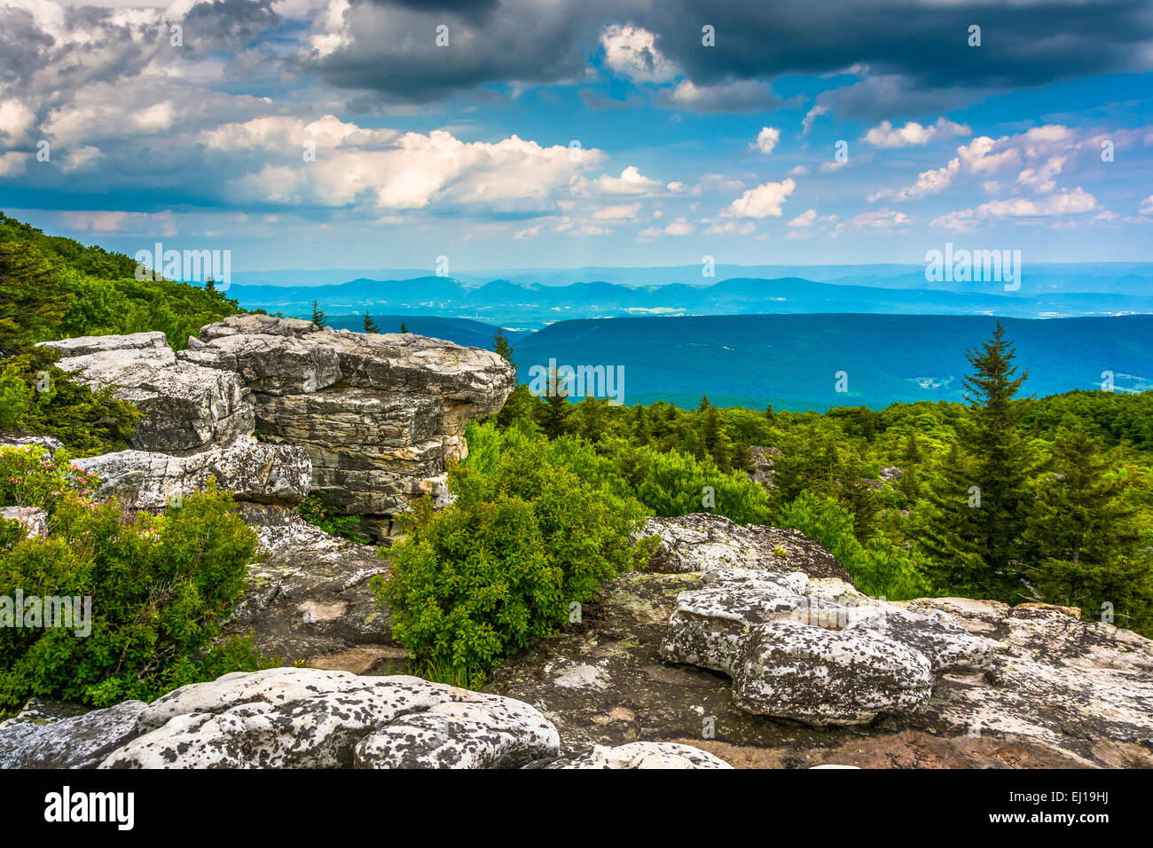 Boulders and eastern view of the Appalachian Mountains from Bear Rocks ...