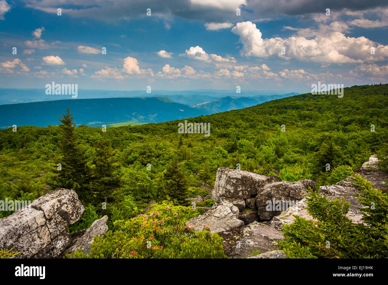 Boulders and eastern view of the Appalachian Mountains from Bear Rocks ...