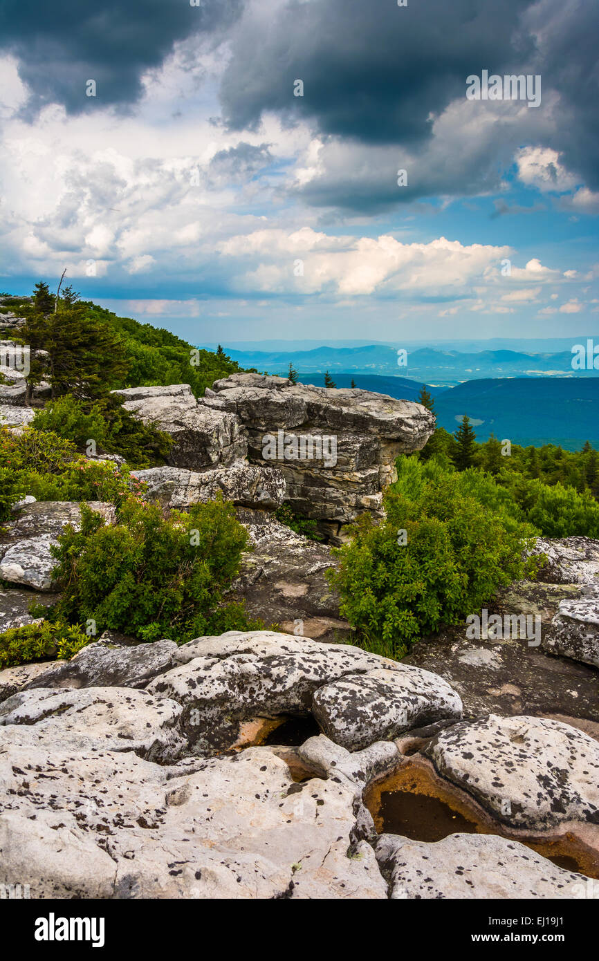 Boulders and eastern view of the Appalachian Mountains from Bear Rocks ...