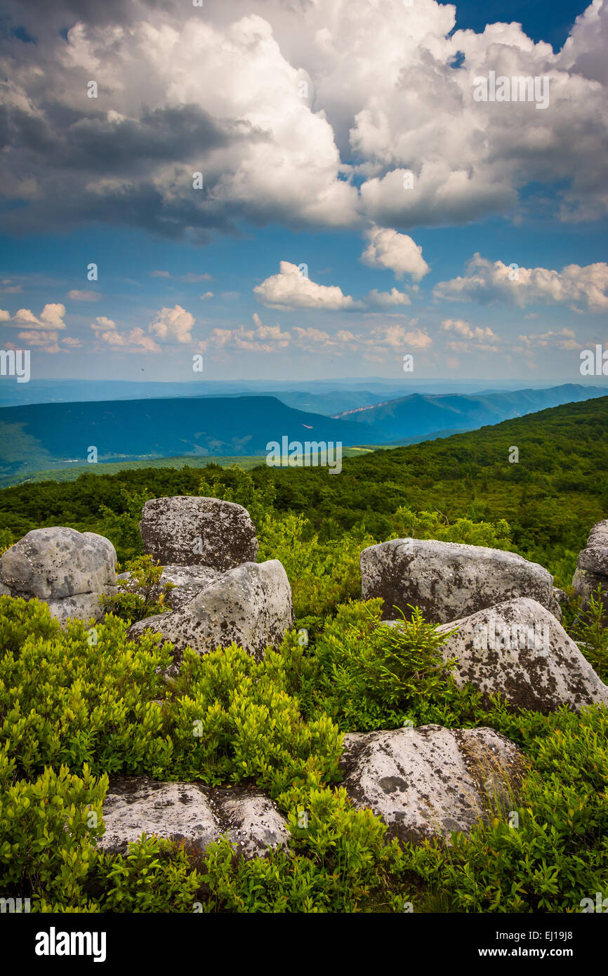 Boulders and eastern view of the Appalachian Mountains from Bear Rocks ...
