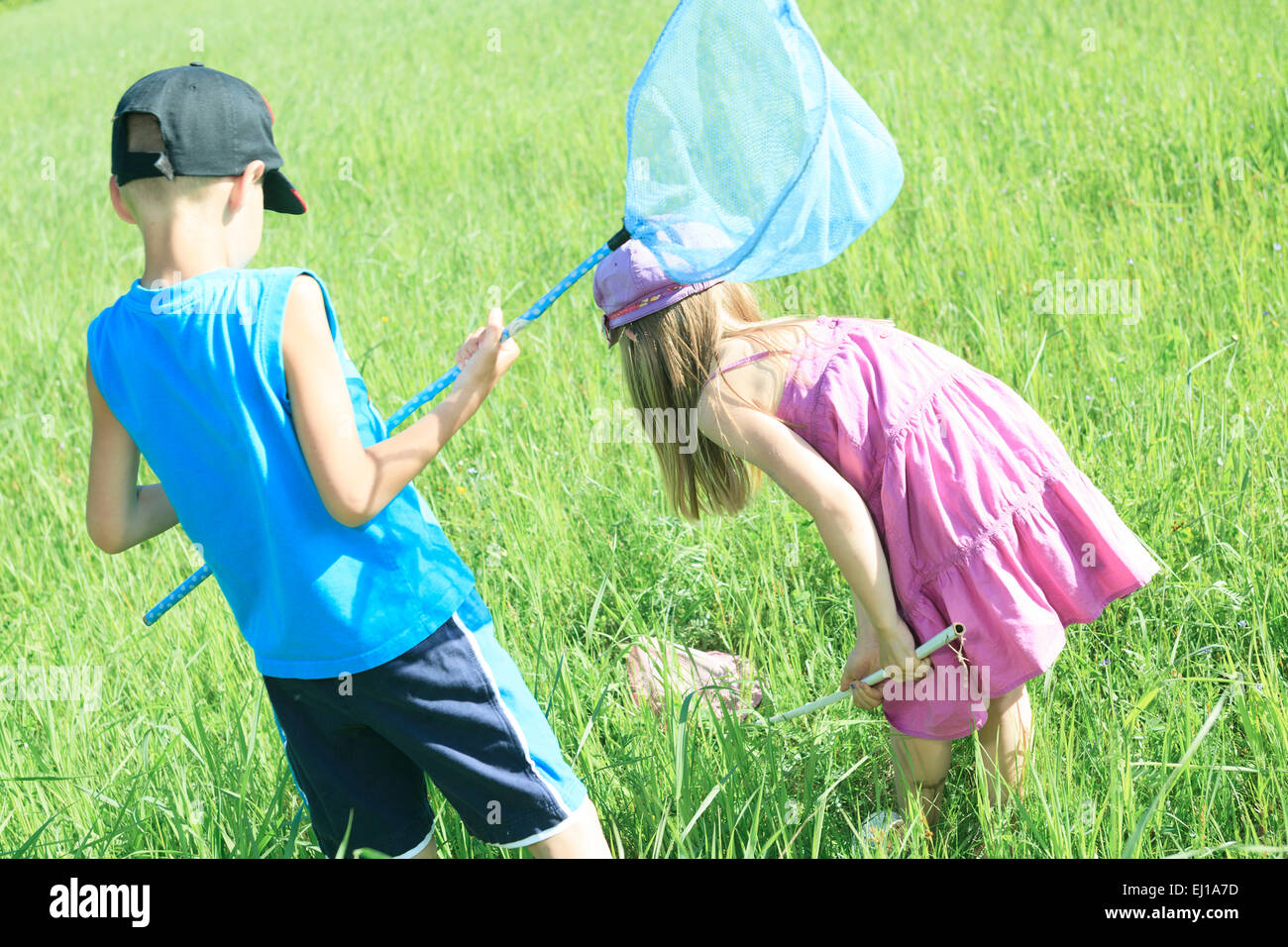 childs who try to catch some butterfly with net Stock Photo - Alamy