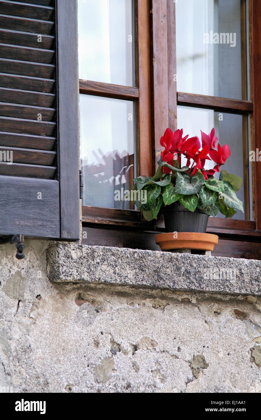 Window with flower pot Stock Photo - Alamy