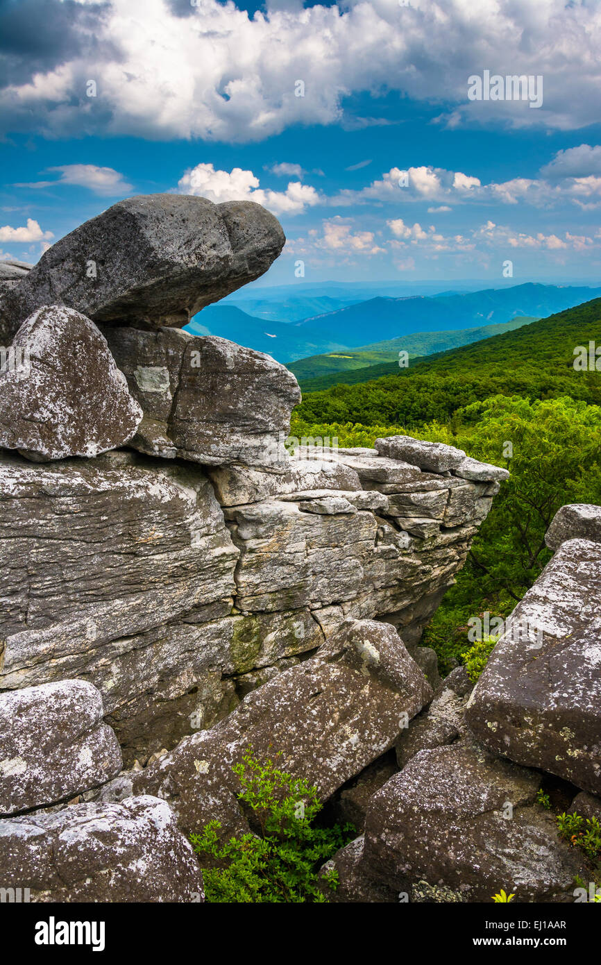 Boulders and eastern view of the Appalachian Mountains from Bear Rocks ...
