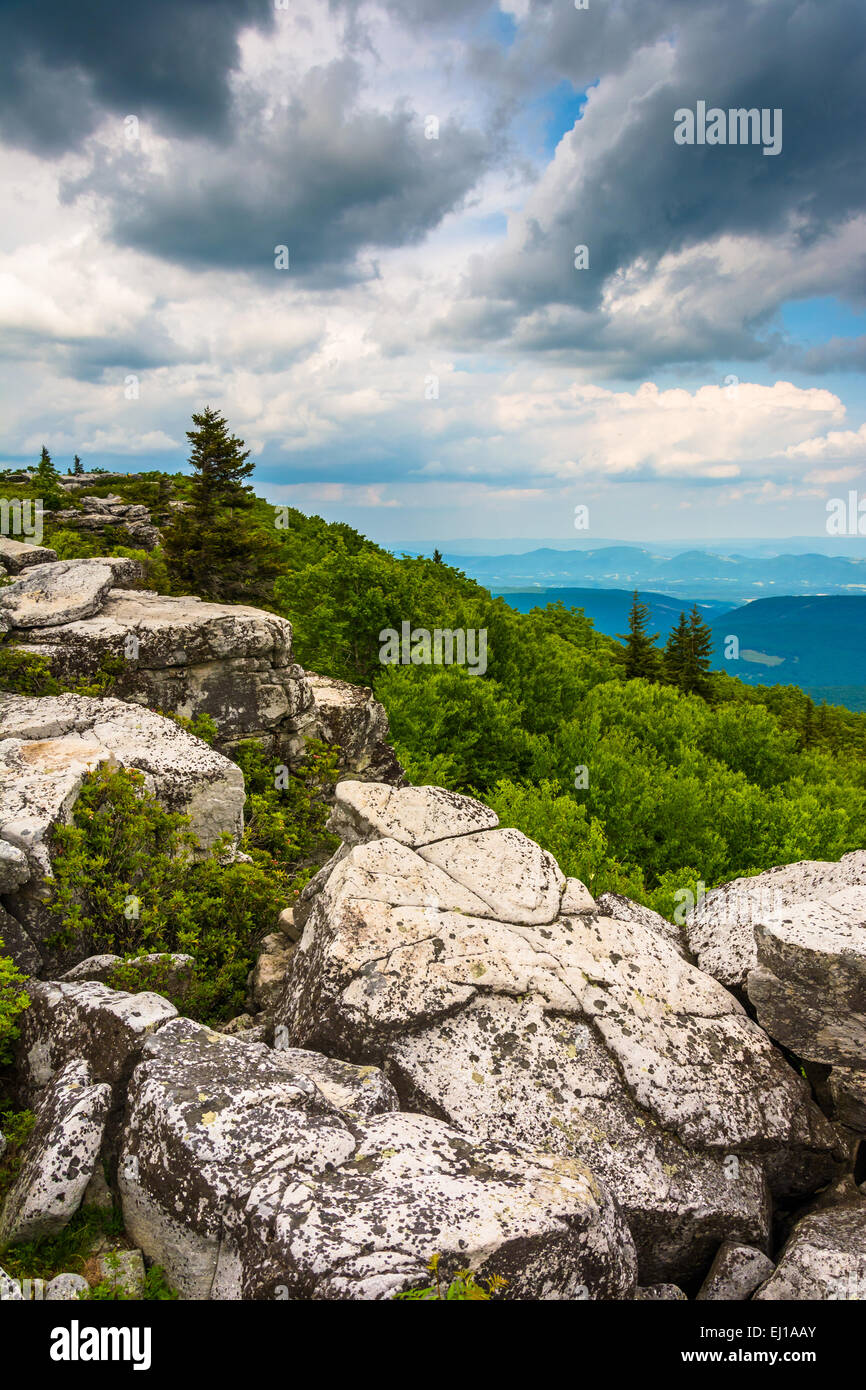 Appalachian mountains bear hi-res stock photography and images - Alamy