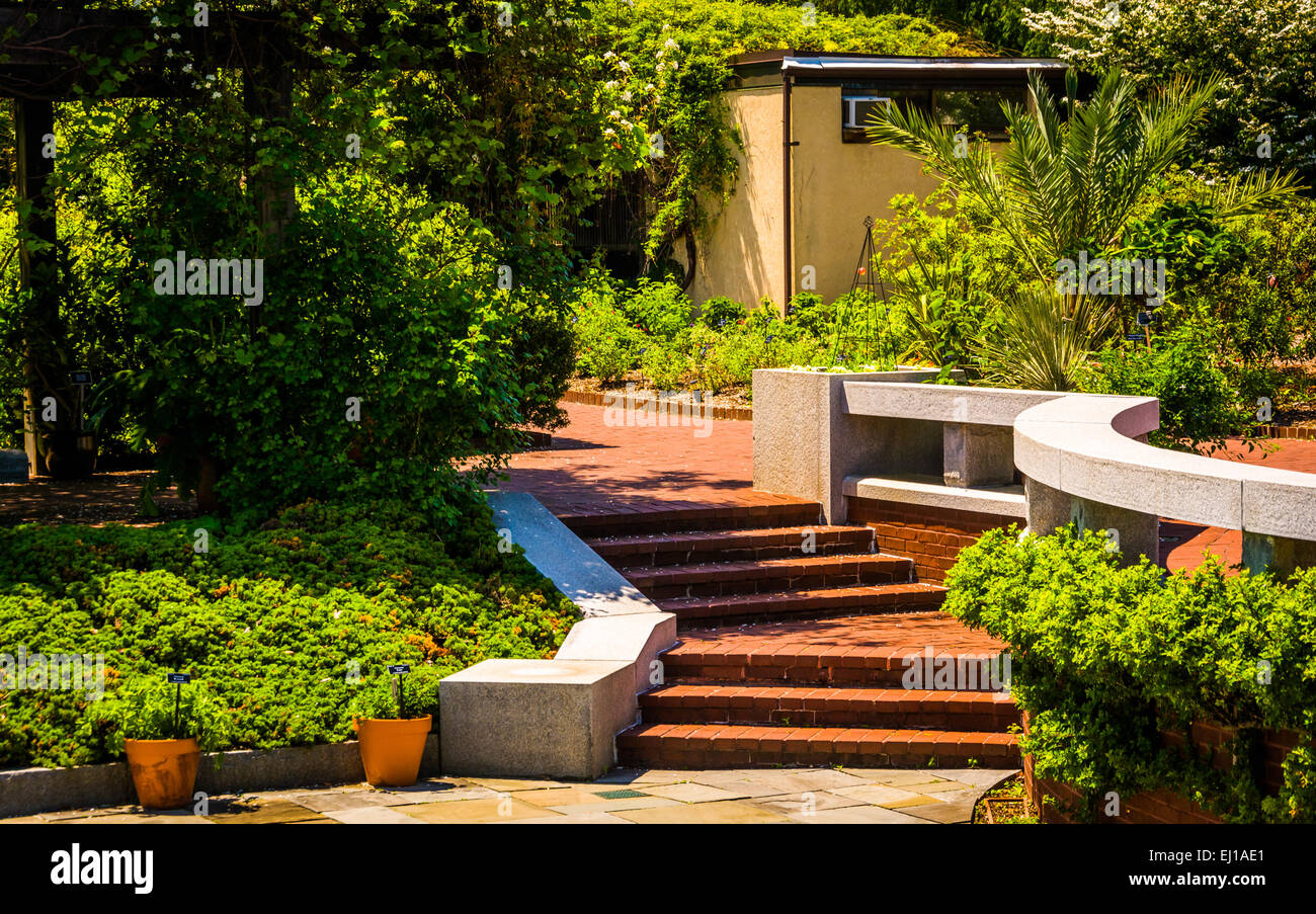 Brick walkways through gardens at the National Arboretum in Washington ...
