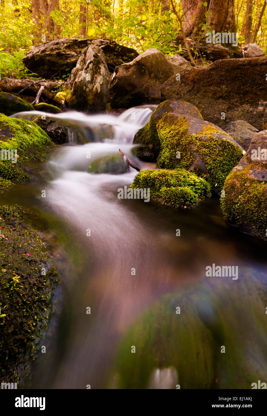 Waterfall moss shenandoah national park hi-res stock photography and ...