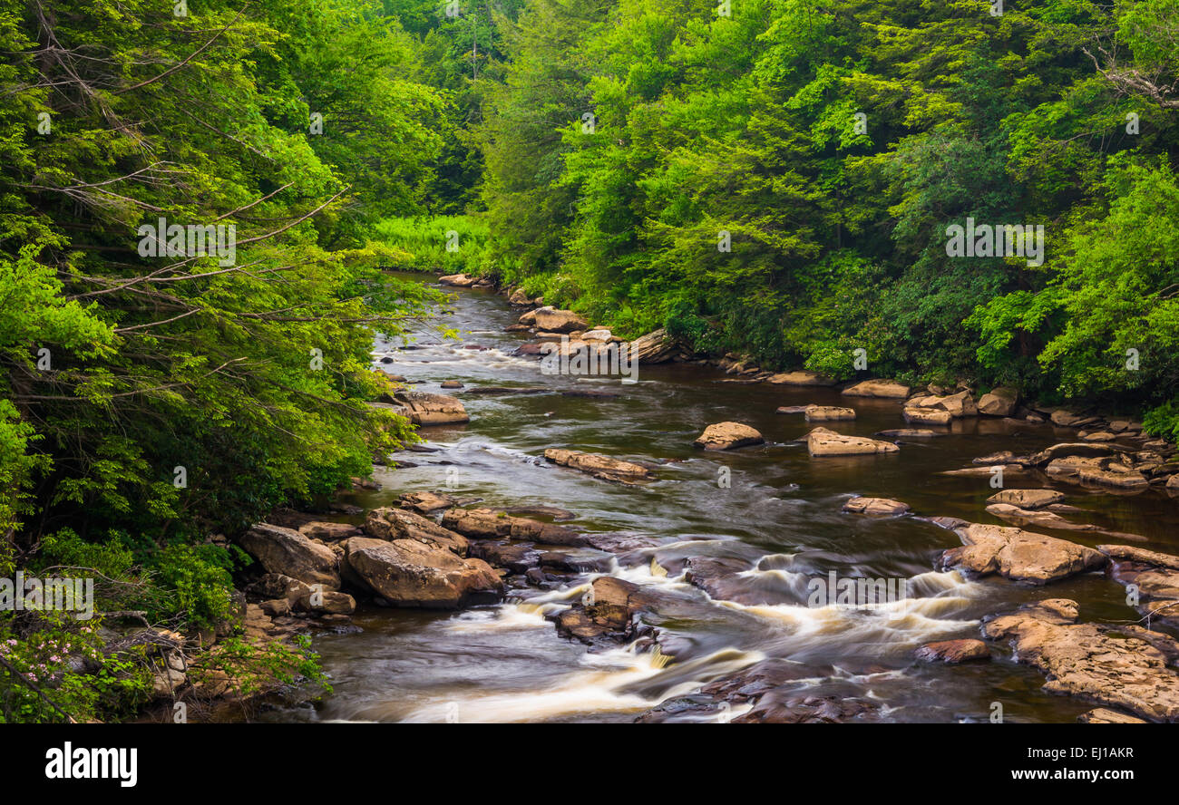 Cascades in the Blackwater River from a bridge at Blackwater Falls ...