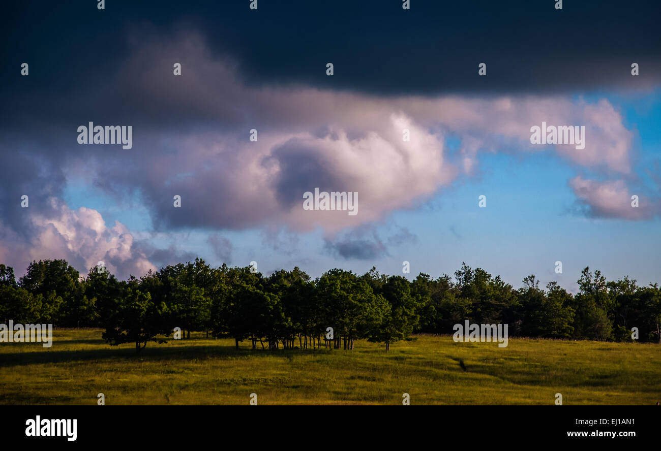 Clouds over trees in Big Meadows in Shenandoah National Park, Virginia ...