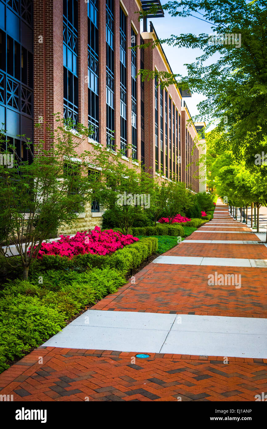 Sidewalk landscape hi-res stock photography and images - Alamy