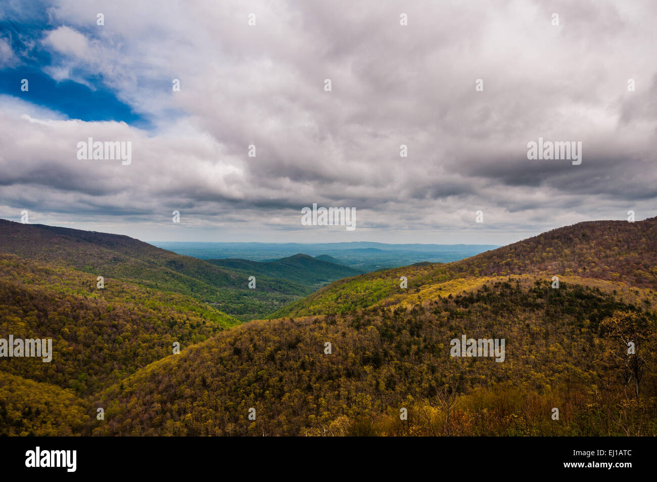 Early spring view of the Blue Ridge Mountains and Piedmont, from ...