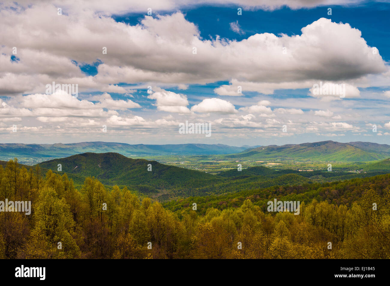Early spring yellows and greens in Shenandoah National Park, seen from ...
