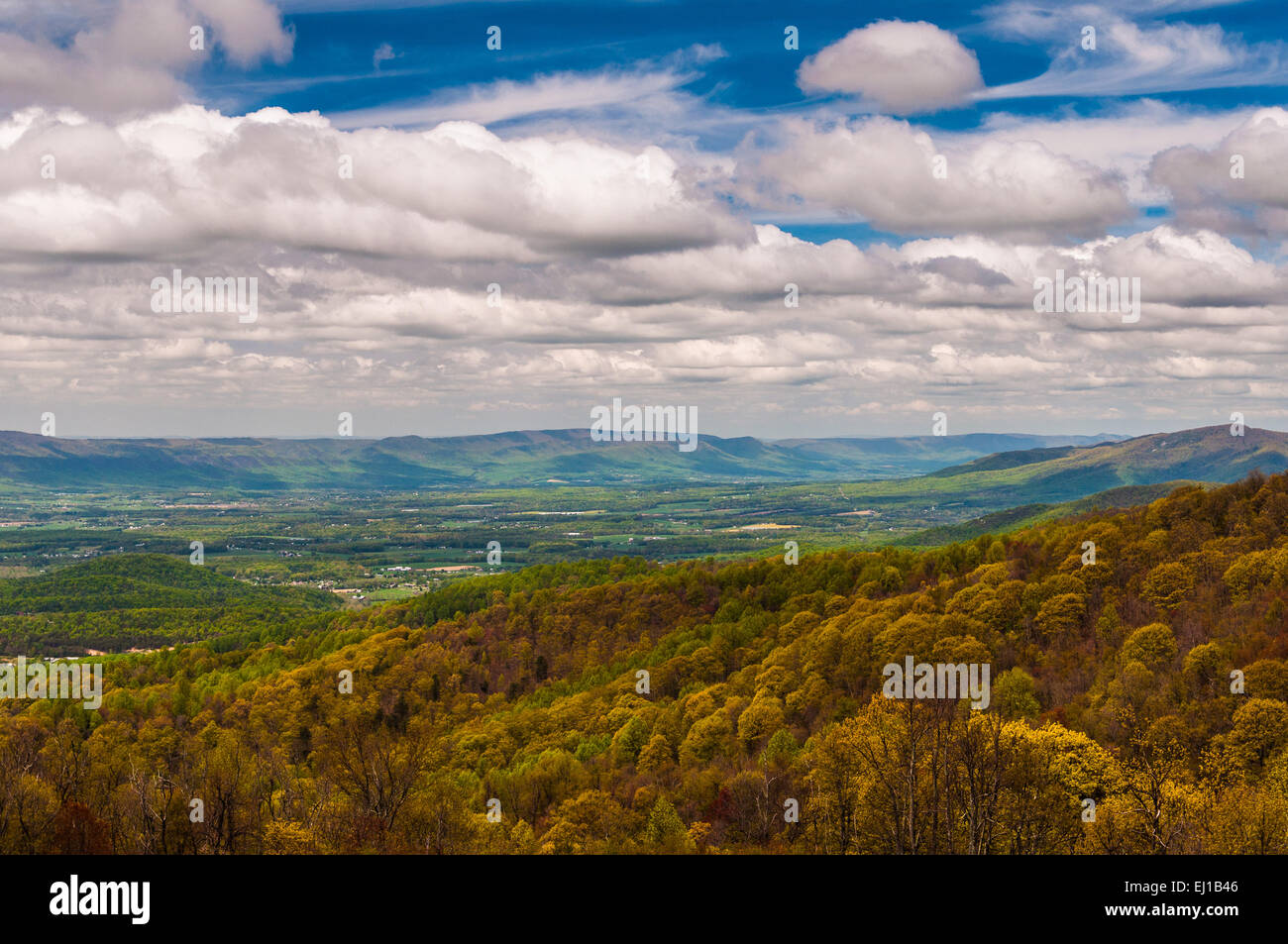 Early spring yellows and greens in Shenandoah National Park, seen from ...