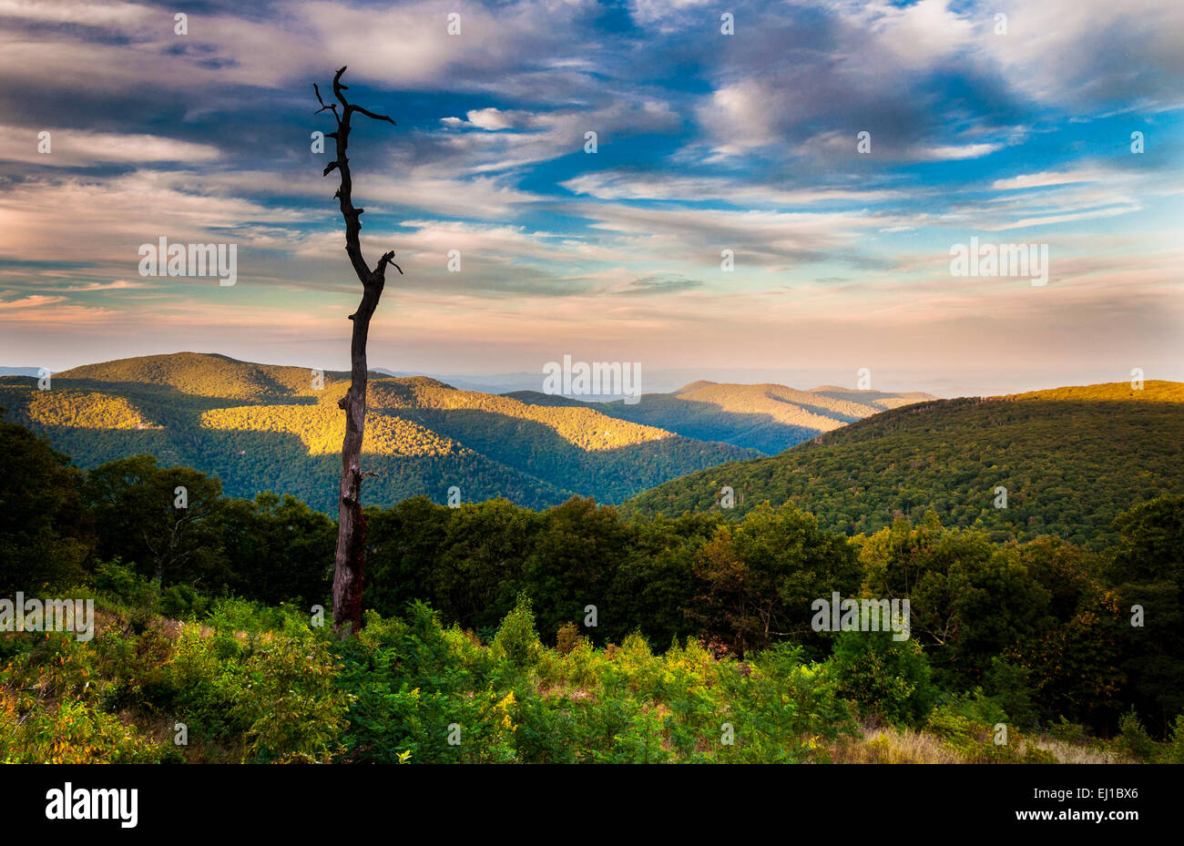 Evening view of the Appalachians from Thoroughfare Overlook, along ...