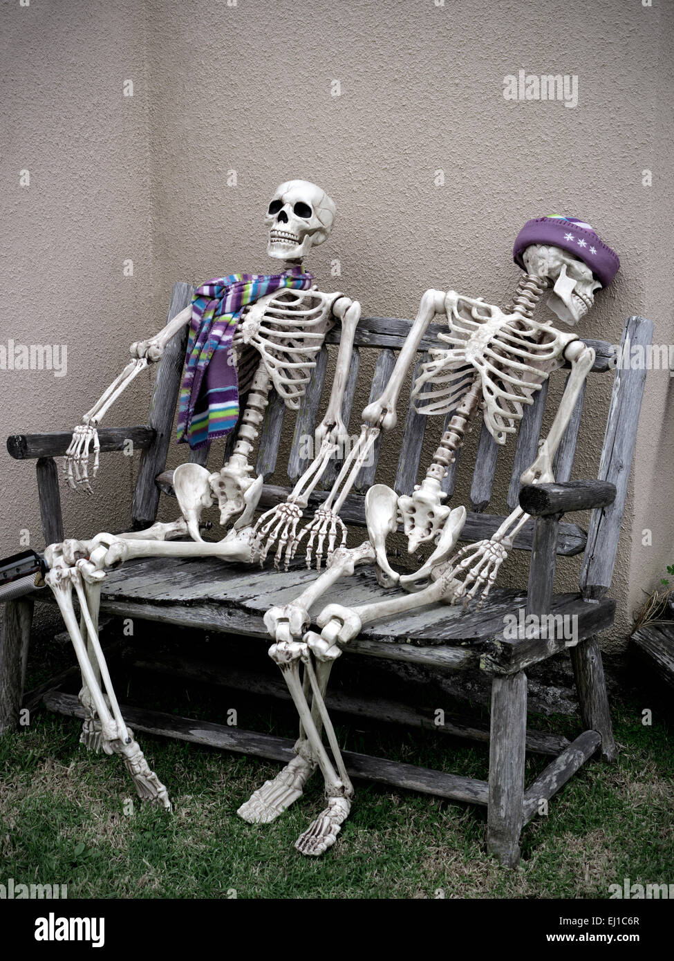 Skeleton sitting on bench hi-res stock photography and images - Alamy