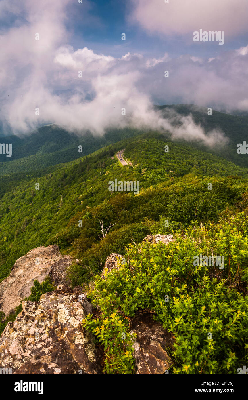 Fog and low clouds over the Blue Ridge Mountains, seen from Little ...