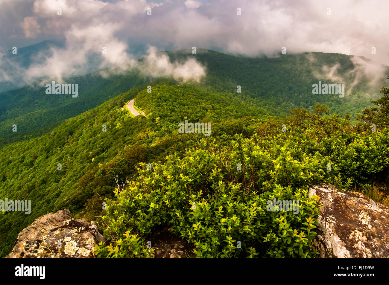 Fog and low clouds over the Blue Ridge Mountains, seen from Little ...