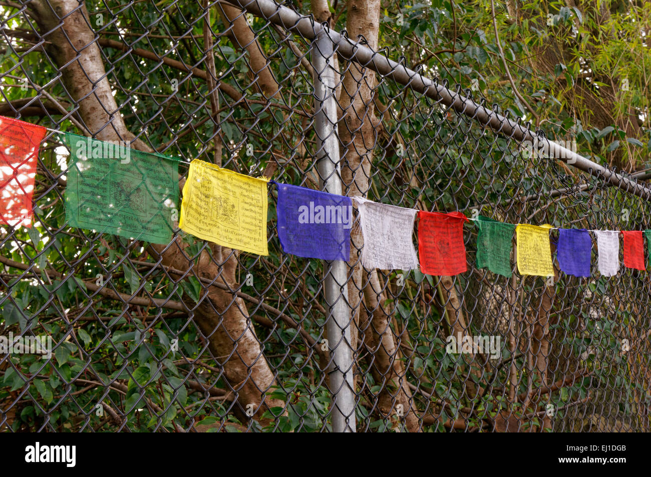 A row of colourful Tibetan Buddhist prayer flags hanging on a chain ...