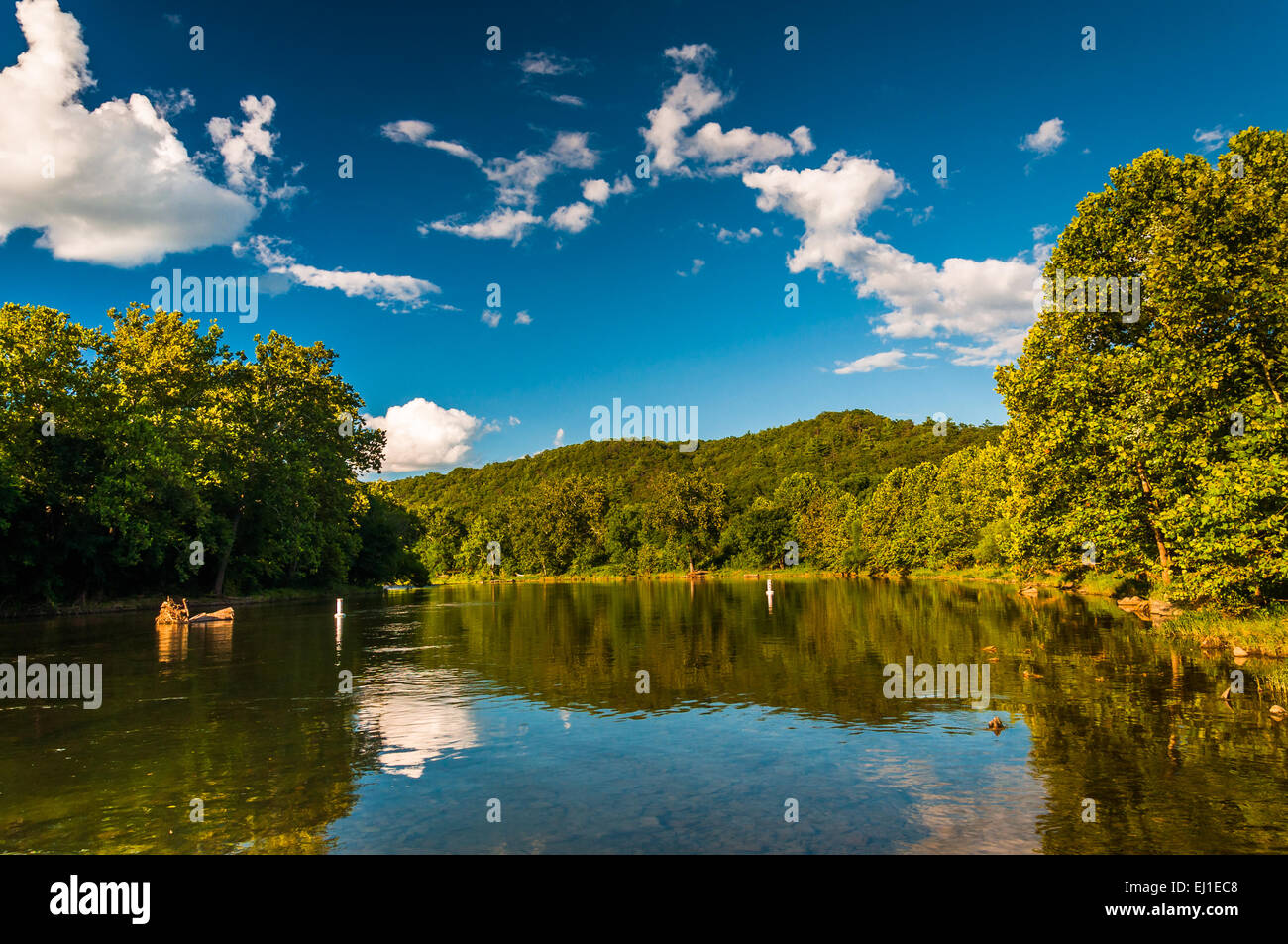 Looking north on the Shenandoah River from the Low Water Bridge, in the ...